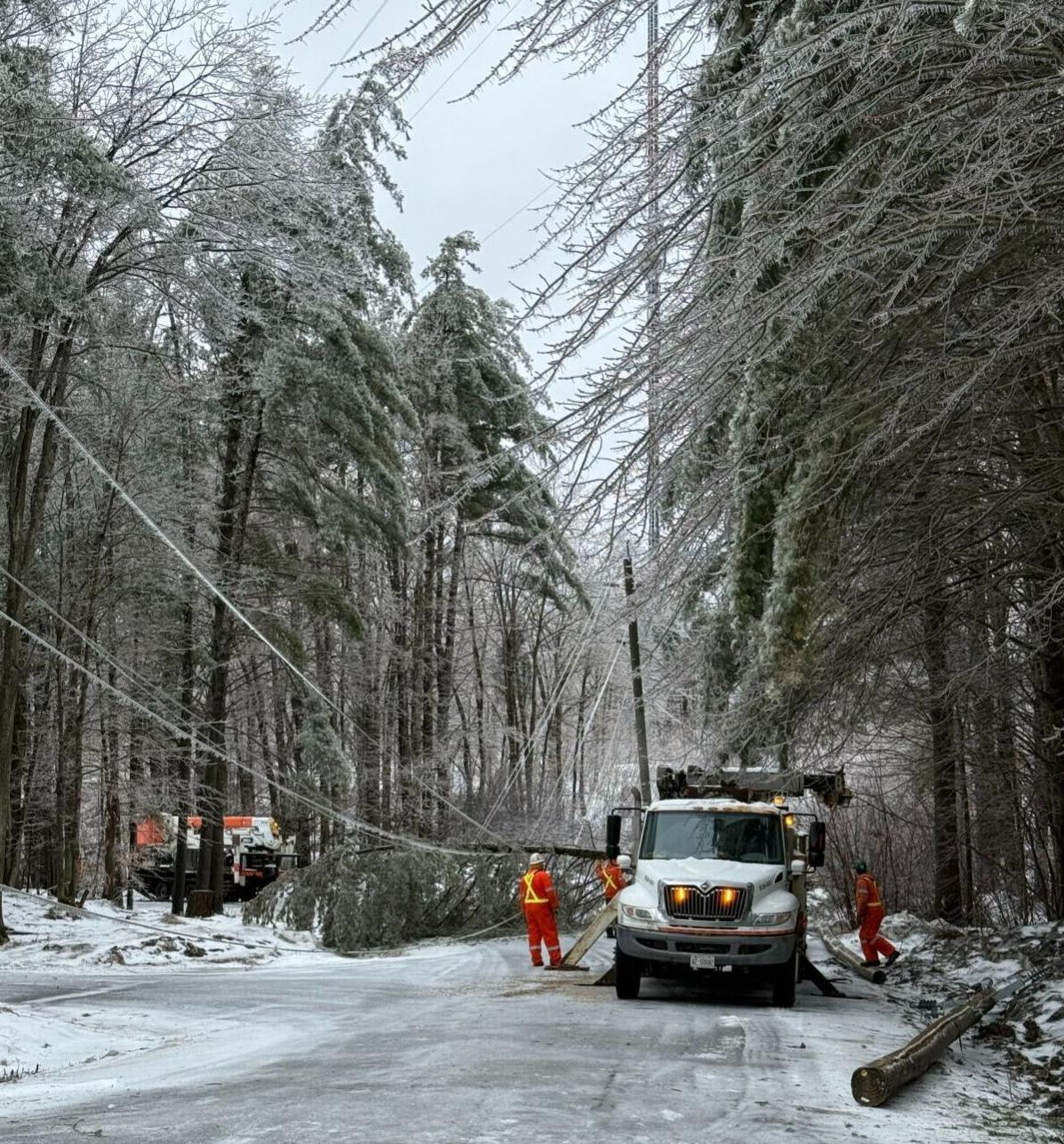 Hydro One crews working to restore power in Peterborough
