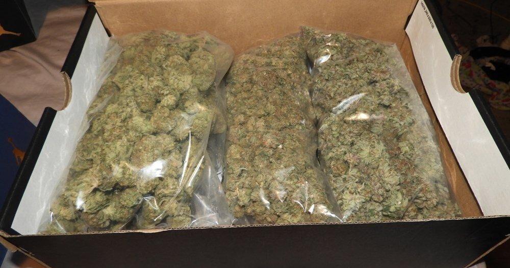 Fines and community service for men busted with marijuana and magic ...