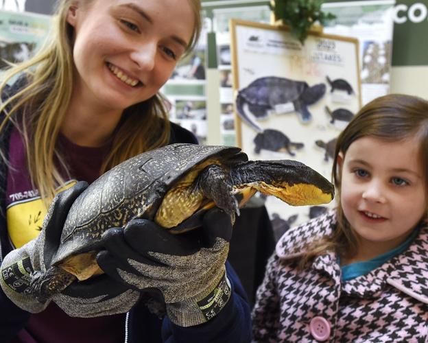 March break activities held at Lansdowne Place