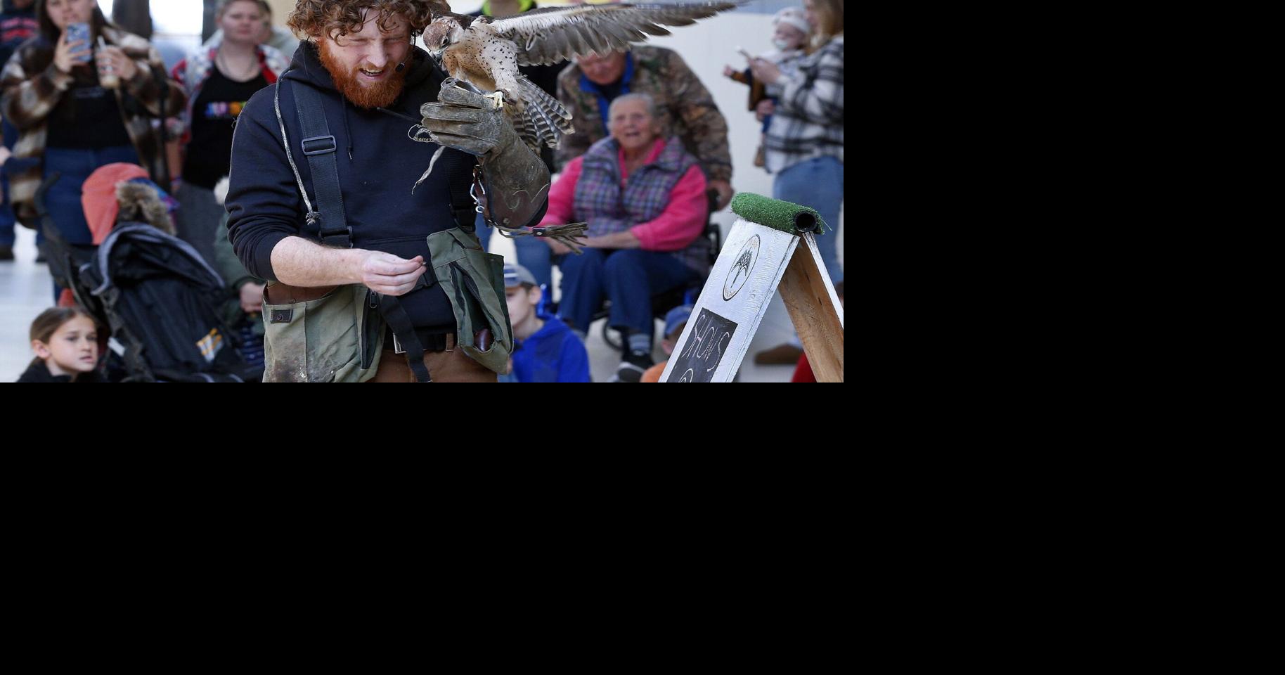 The Eyrie Birds of Prey centre event held at Lansdowne Place