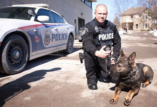 Peterborough cop dog Isaac finds break-in suspect hiding out in swamp