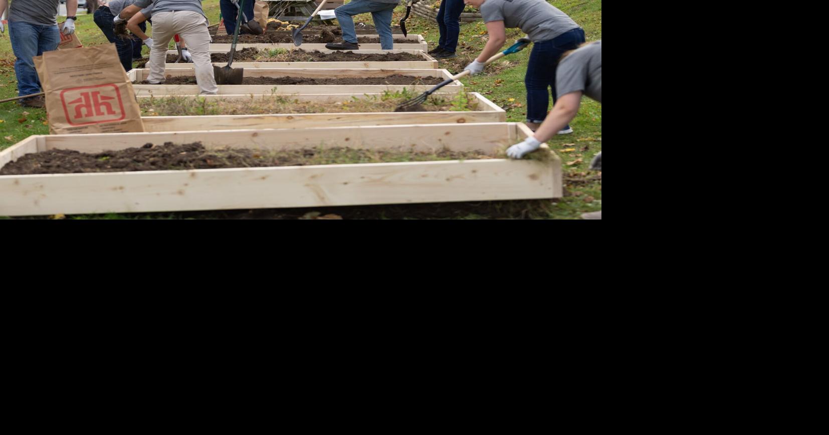 Community garden boxes rebuilt at Peterborough school