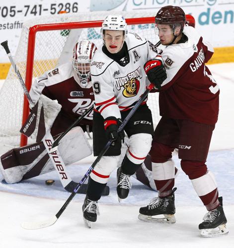 Despite losing streak, Petes goalie keeping team in the game