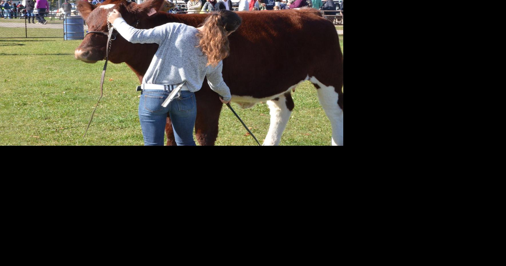 Photos: Thousands descend on Norwood for annual 3-day Norwood Fair
