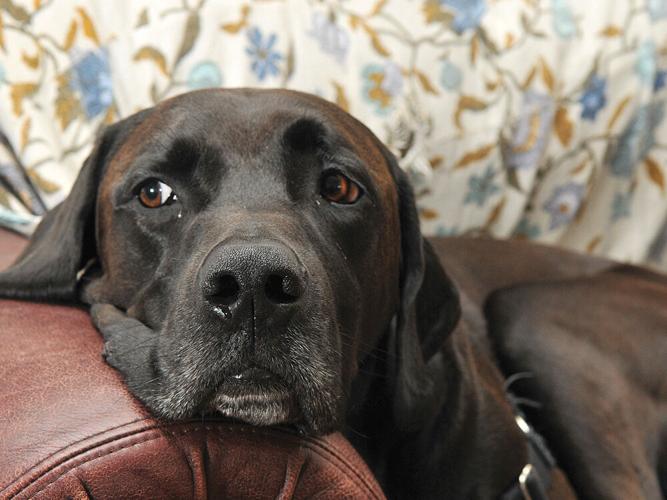 A day in the life of entertainer Neil Crone