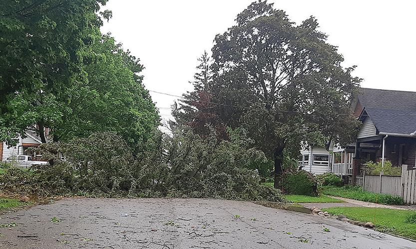 PHOTOS: Severe storm blasts through Peterborough area leaving wake of ...
