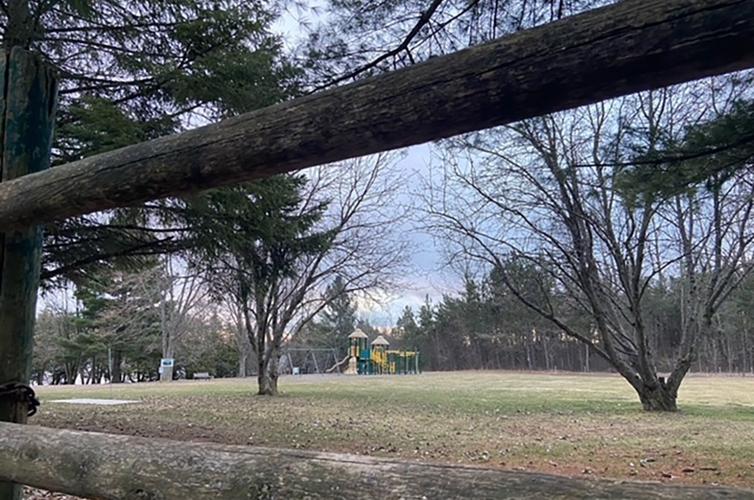 Inclusive playground in the works for Selwyn waterfront park