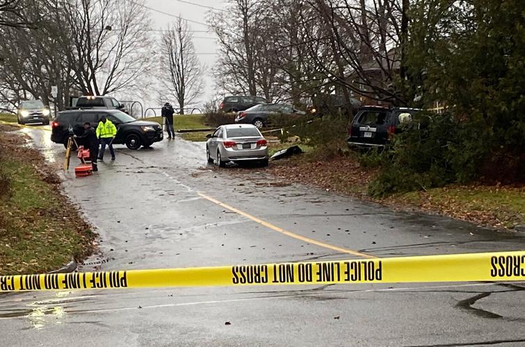 Man killed after car strikes tree near Nicholls Oval Park entrance in ...
