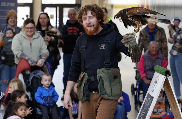 The Eyrie Birds of Prey centre event held at Lansdowne Place