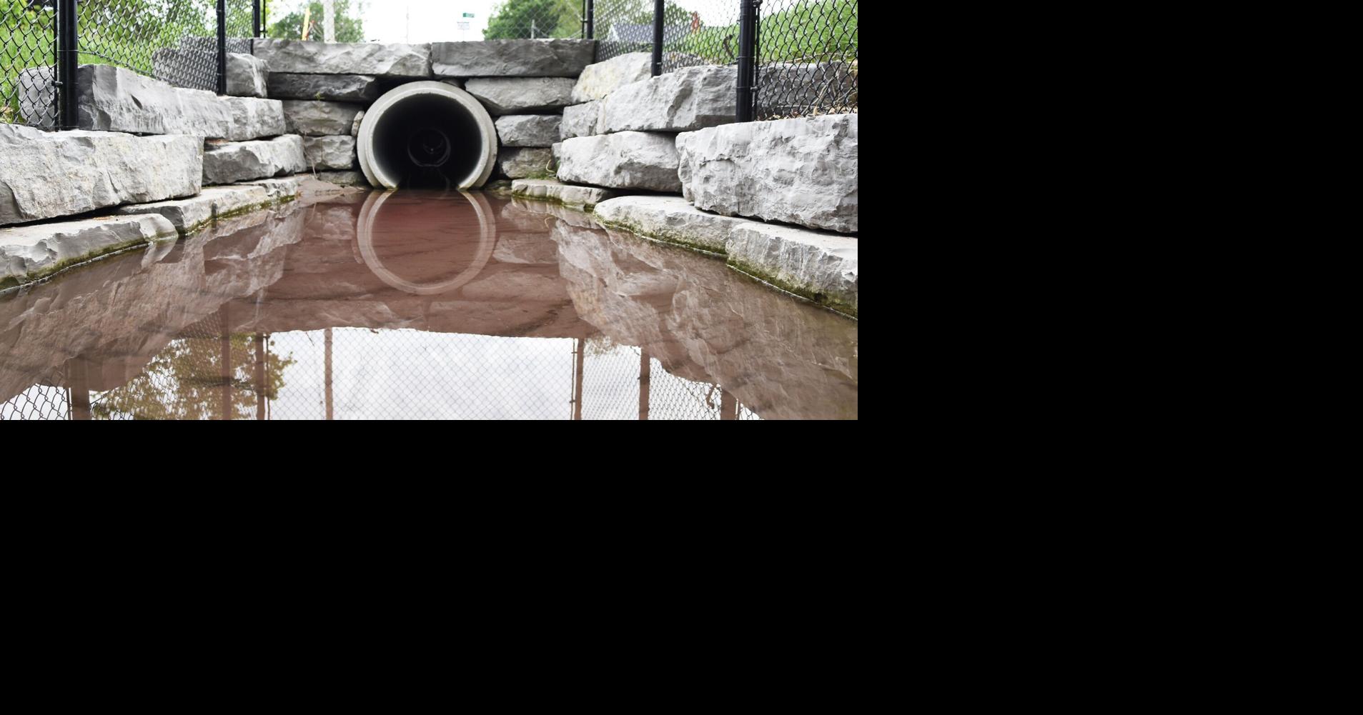 Pink, soapy runoff from Bridgenorth Car Wash funnelling into Chemong Lake