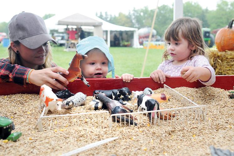 Port Hope Fair issues call for help