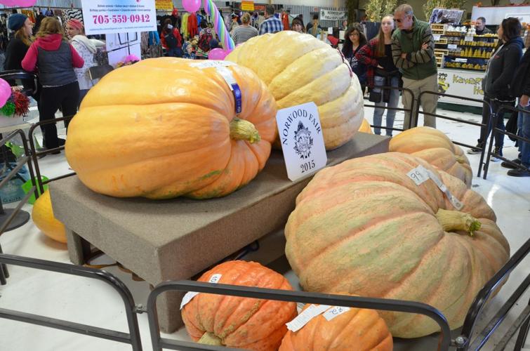 Photos: Thousands descend on Norwood for annual 3-day Norwood Fair