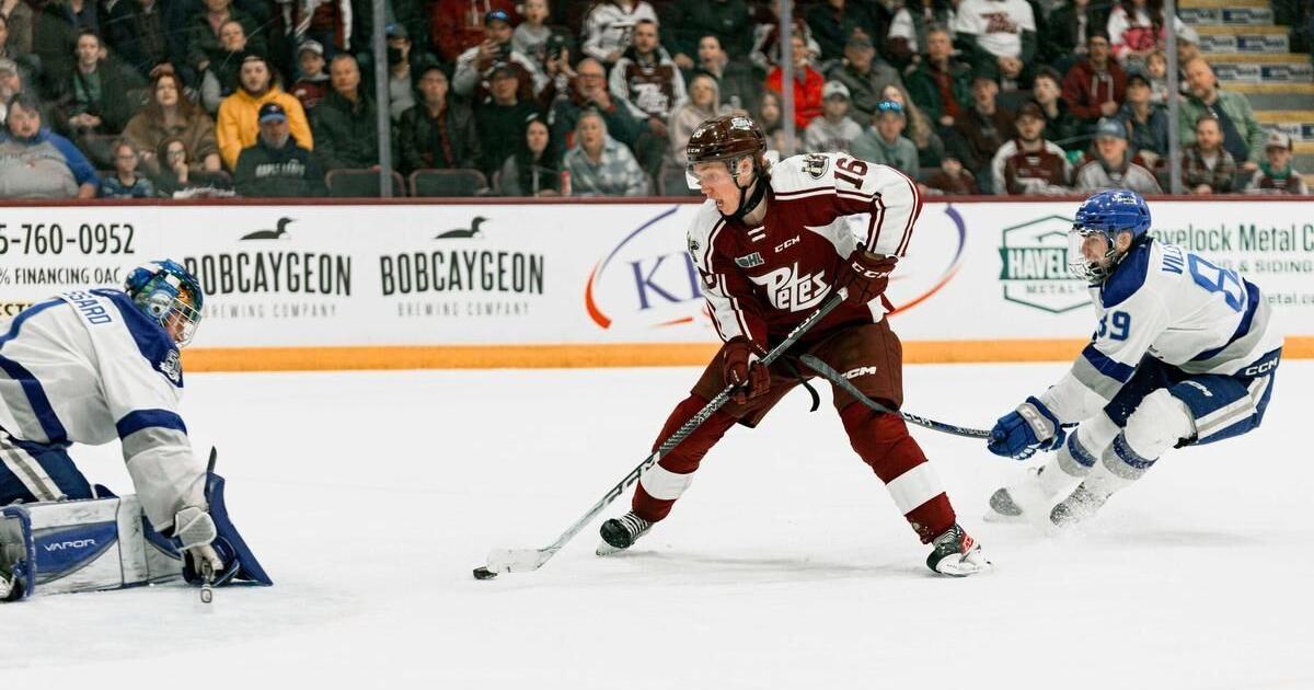 Wild Melee gives Peterborough Petes a 1-0 lead in series with Sudbury ...