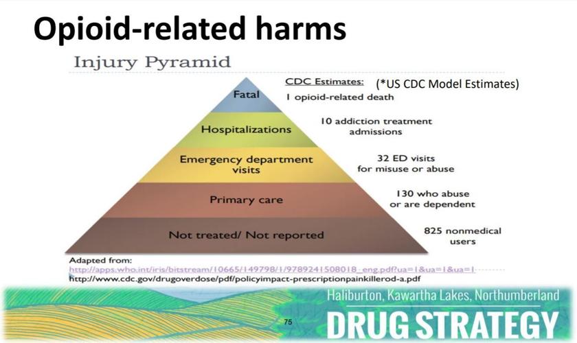 Kawartha Lakes police chief