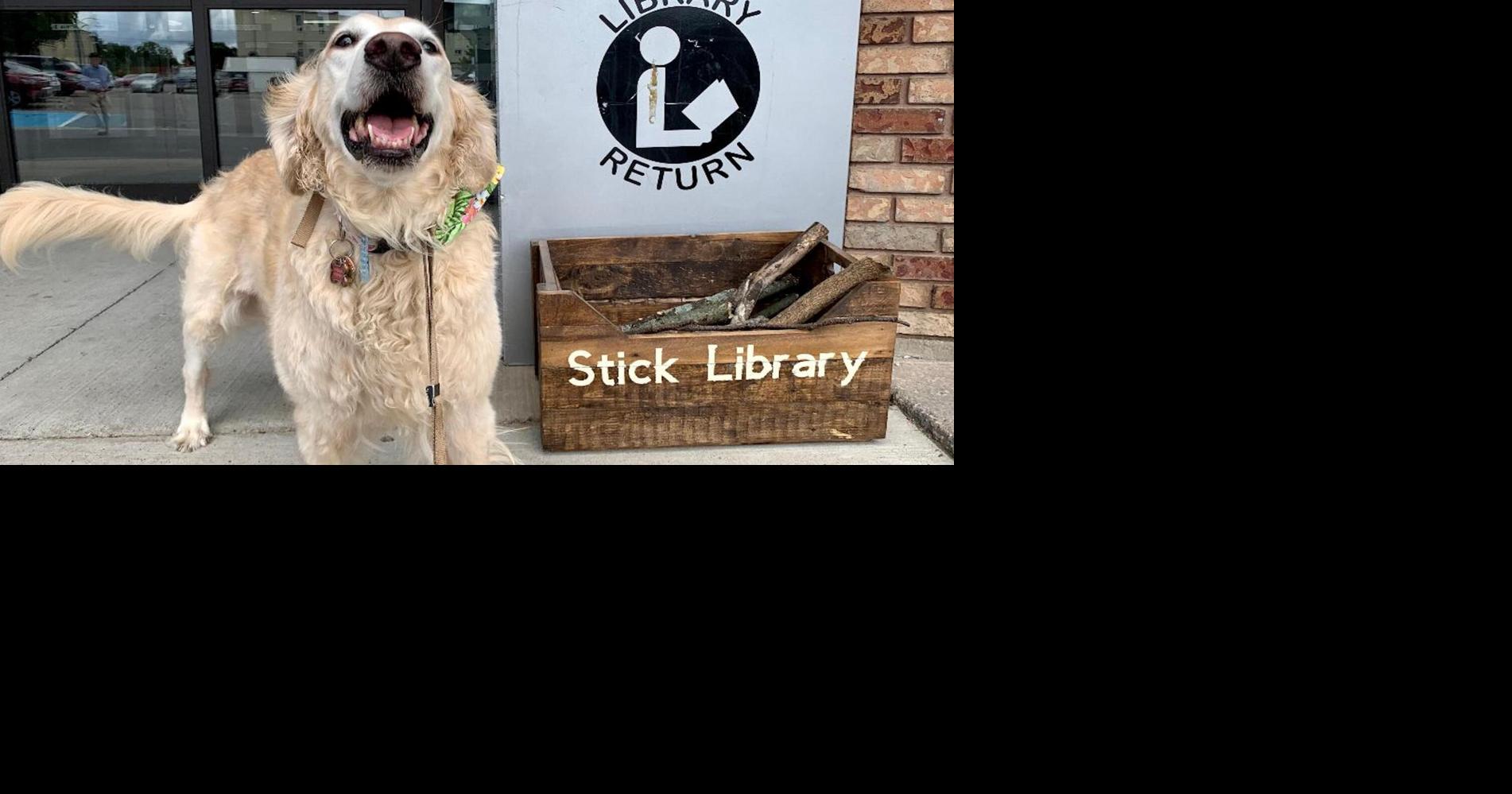 Brighton Public Library branches out with stick library