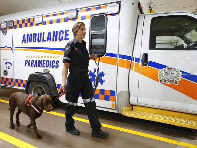 Charlie, Peterborough County’s newest hire, helps local paramedics open ...