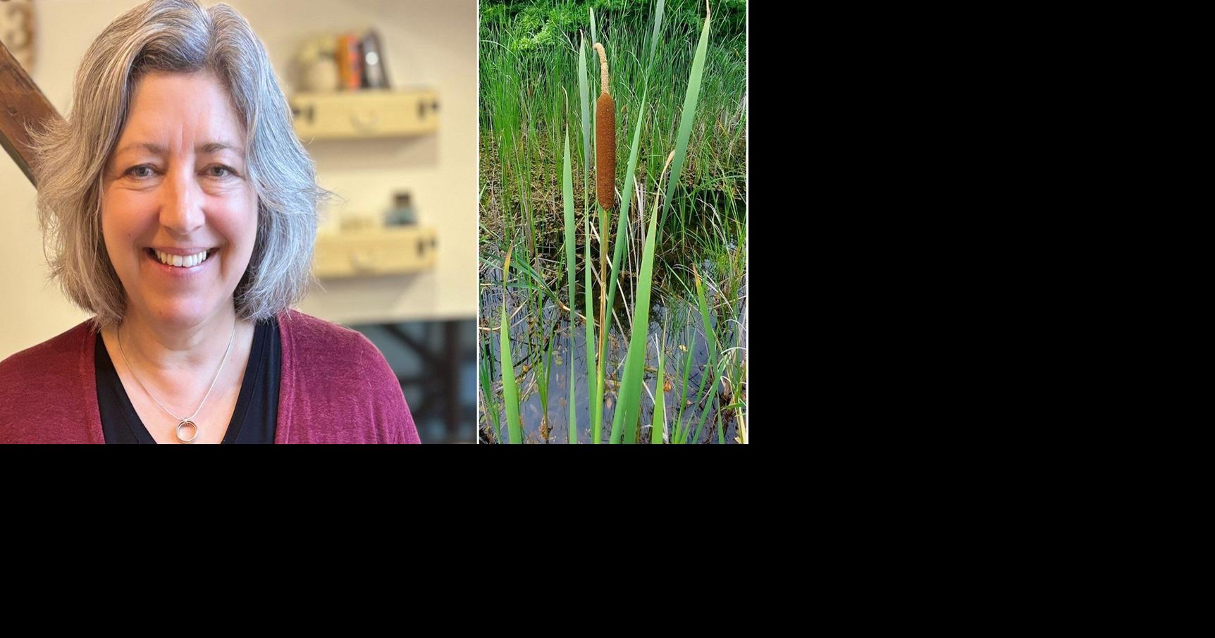 Grow knowledge while discovering the world of hybrid plants