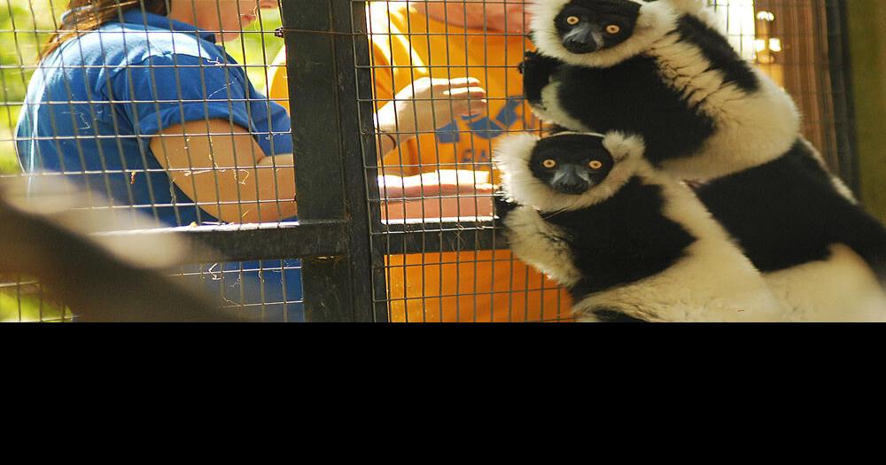 A new look for Peterborough's zoo