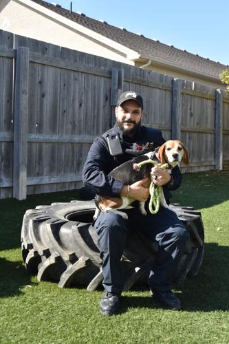 Animal welfare inspector hired to fill gap left by OSPCA in Kawartha Lakes