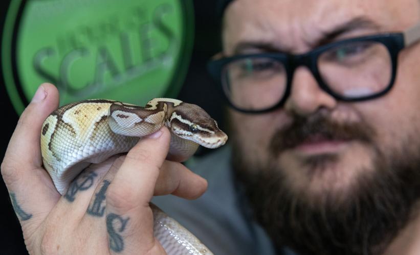 Missing 4-foot Peterborough snake likely dead