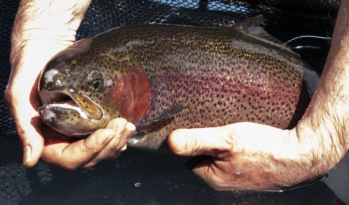 ‘Catch’ the excitement at Under the Lock Fishing Derby