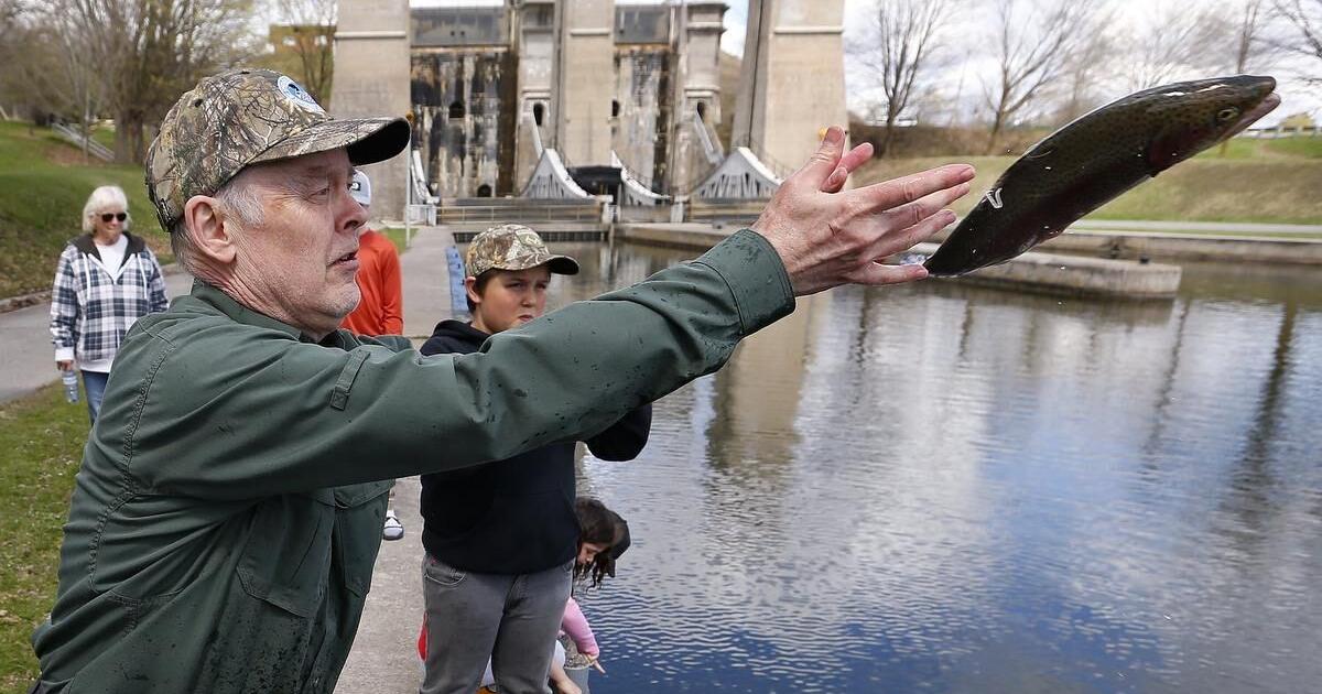 Go fish: Walter is up for grabs this weekend