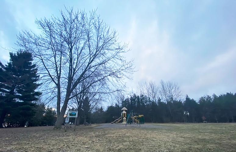 Inclusive playground in the works for Selwyn waterfront park