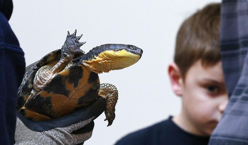 March break activities held at Lansdowne Place