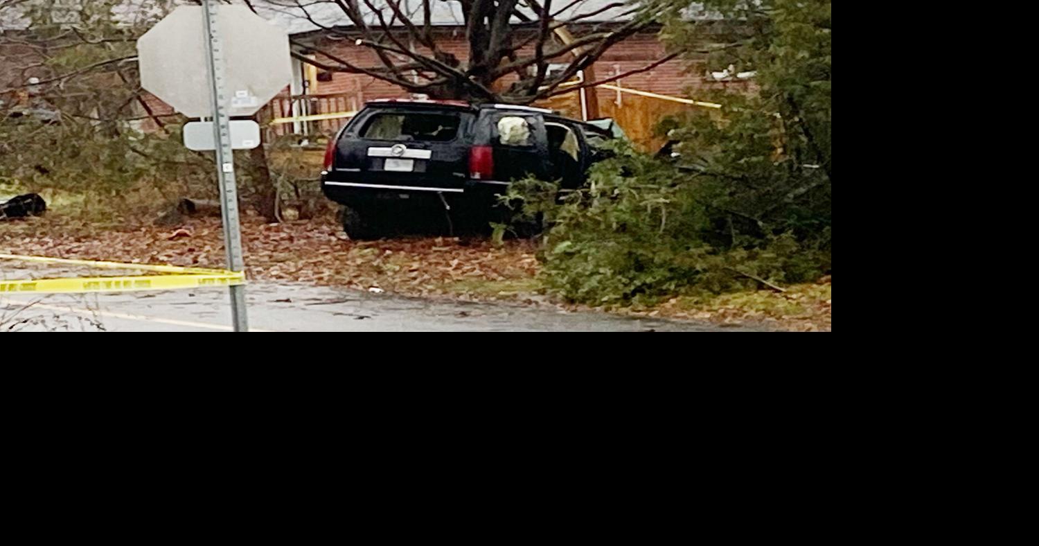 Man killed after car strikes tree near Nicholls Oval Park entrance in ...