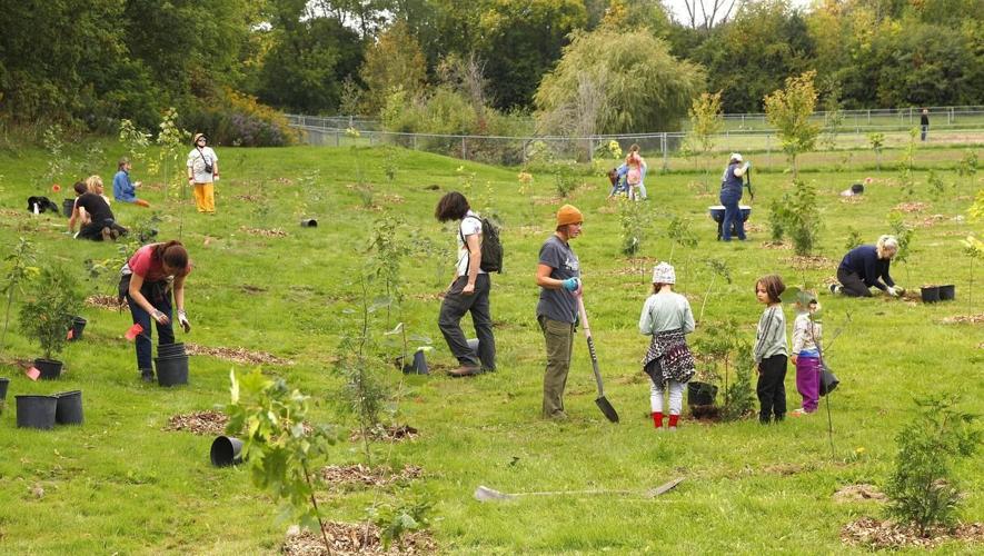 Photos: New trees planted in Peterborough’s East City