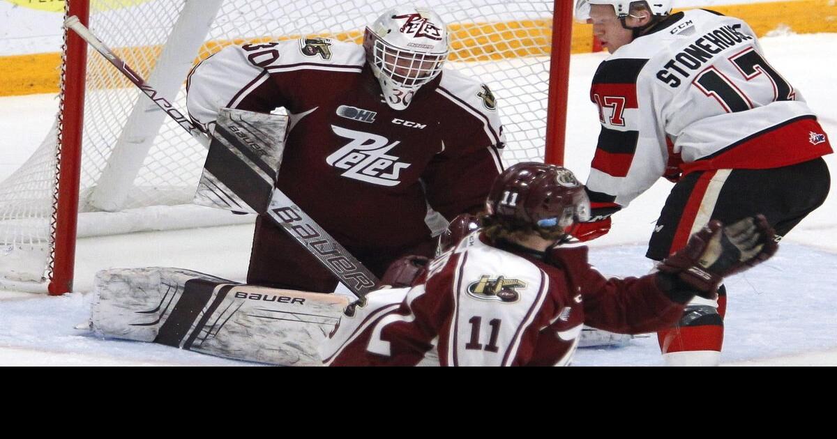 Former Peterborough Petes goalie Tye Austin named QMJHL’s goalie of the ...