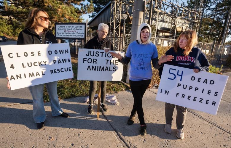 4 Lucky Paws Rescue owner ordered to pay $40,000 in fines