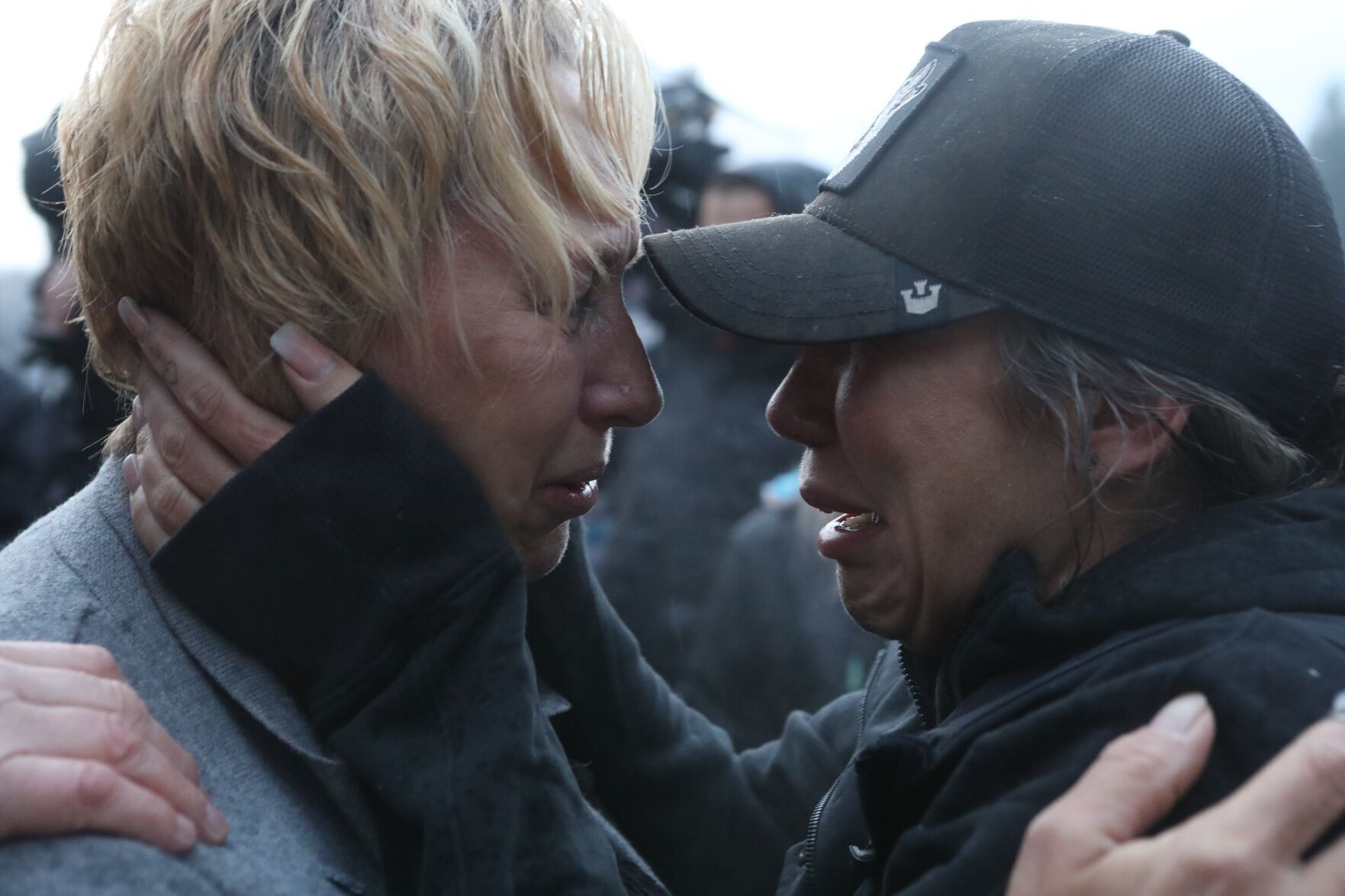 How a community formed online to watch B.C. ostrich cull