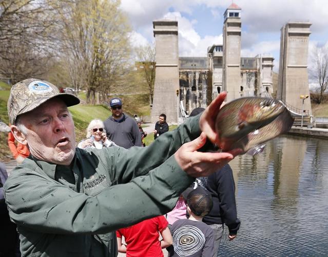 Go fish: Walter is up for grabs this weekend