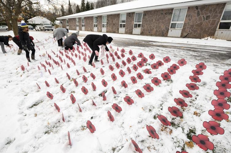 1,000 poppies displayed to honour soldiers’ sacrifice
