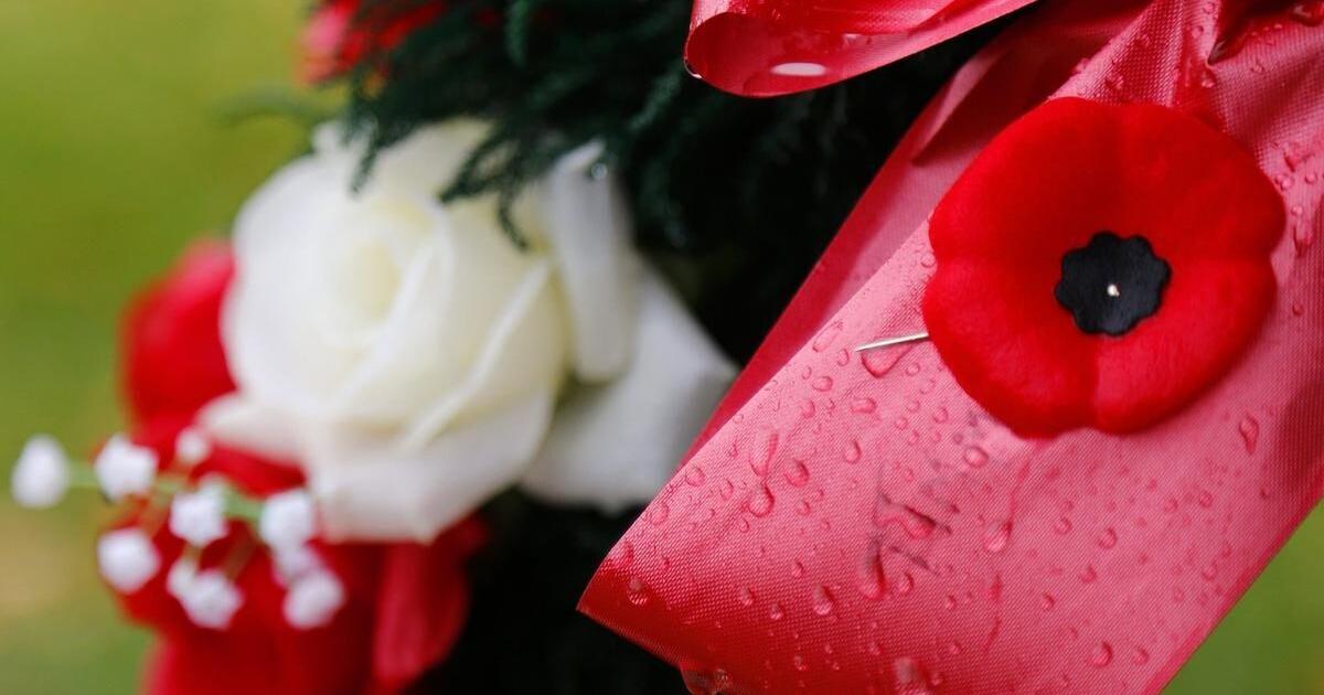 Peterborough City Council holds Remembrance Day ceremony virtually ...