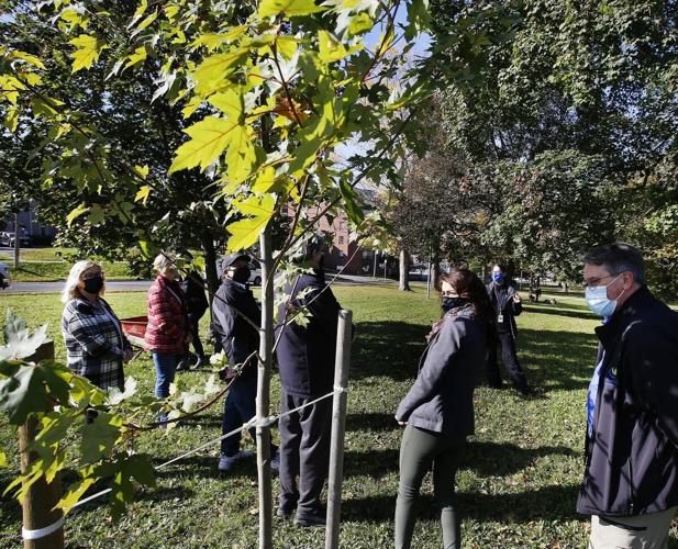 Photos: Nine trees planted in Victoria Park in Peterborough