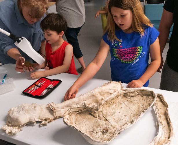 Discovering Dinosaurs drop-in program held at city library