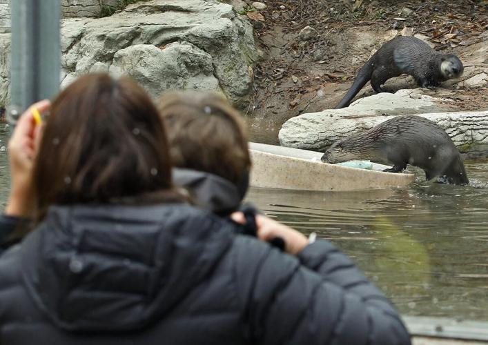 Welcome back: Peterborough’s free zoo reopens