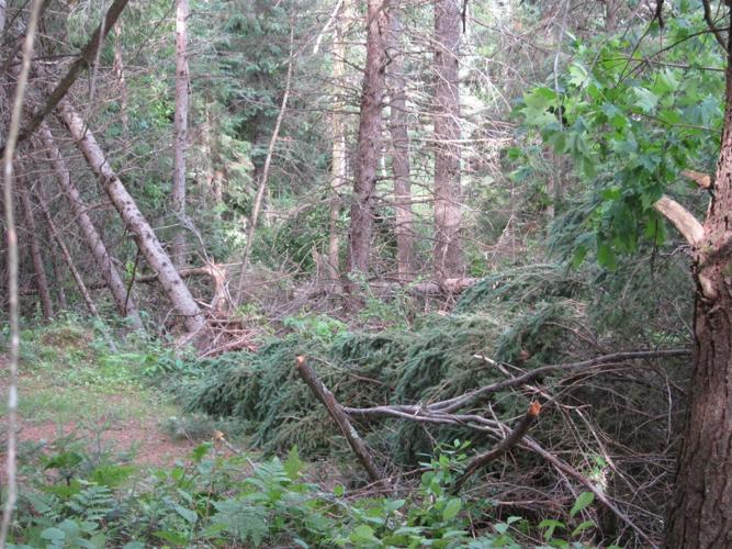 Did a twister blow through Haultain? | PHOTO GALLERY