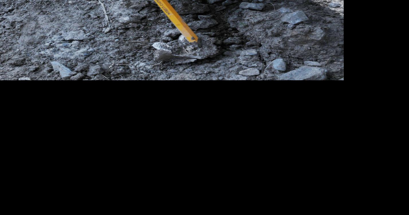 Registrar of Cemeteries takes over human remains probe