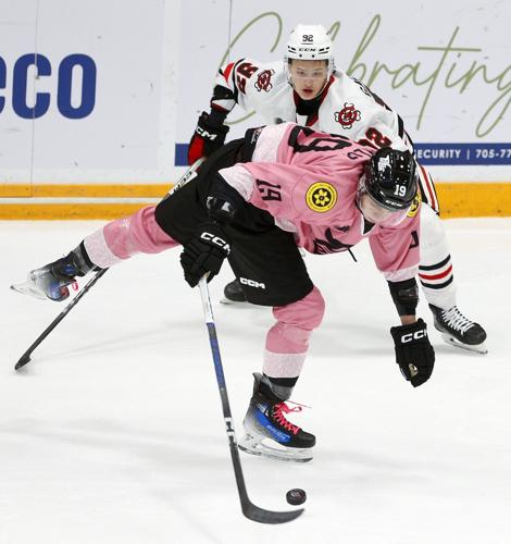 IceDogs edge Petes in overtime during Pink in the Rink game