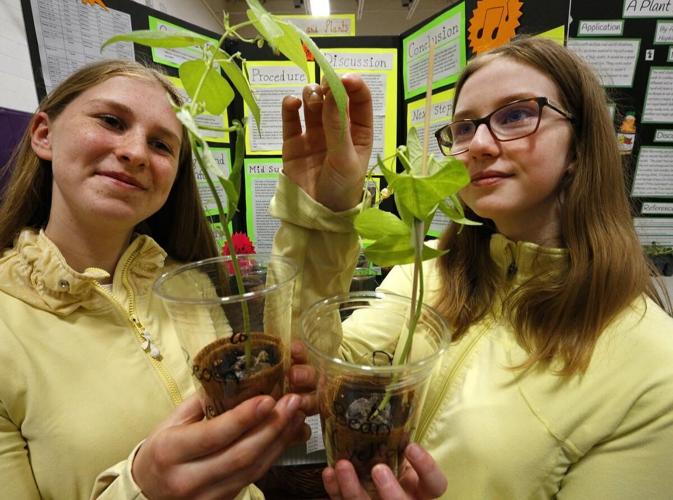 Photos: Science fair held for students at James Strath Public School