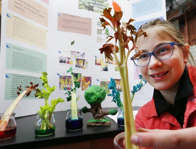 54th annual Peterborough Regional Science Fair returns in-person at ...