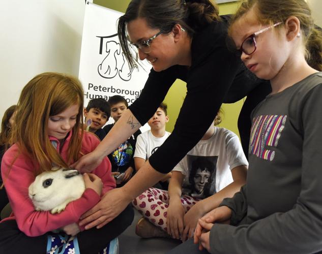 Peterborough Humane Society introduces 50/50 lottery