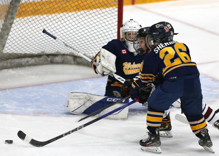 ‘They were super excited coming to the rink’: U11 A Petes kick off ...
