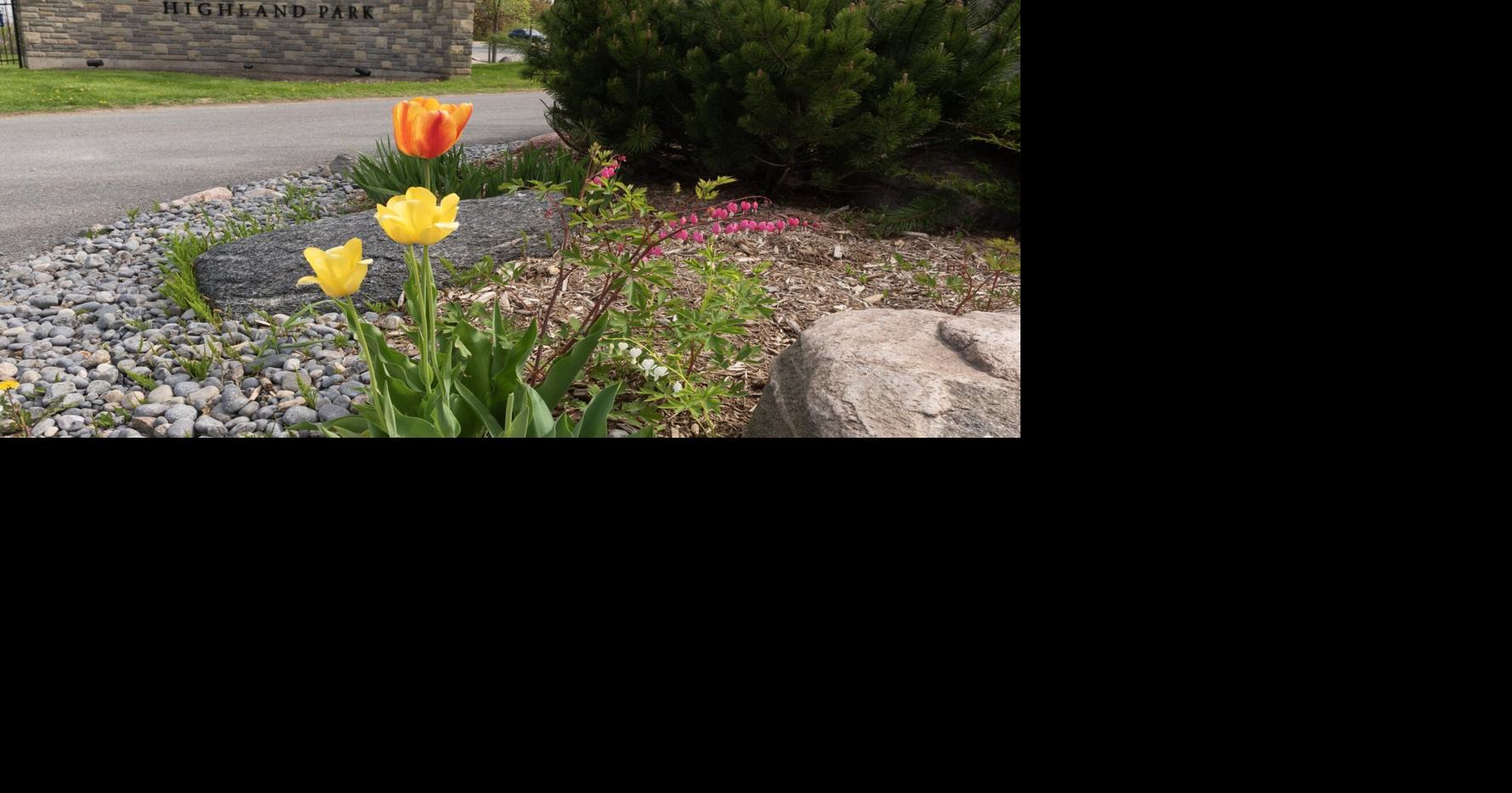 Cemetery bylaws meant to ‘ensure fairness and uniformity’