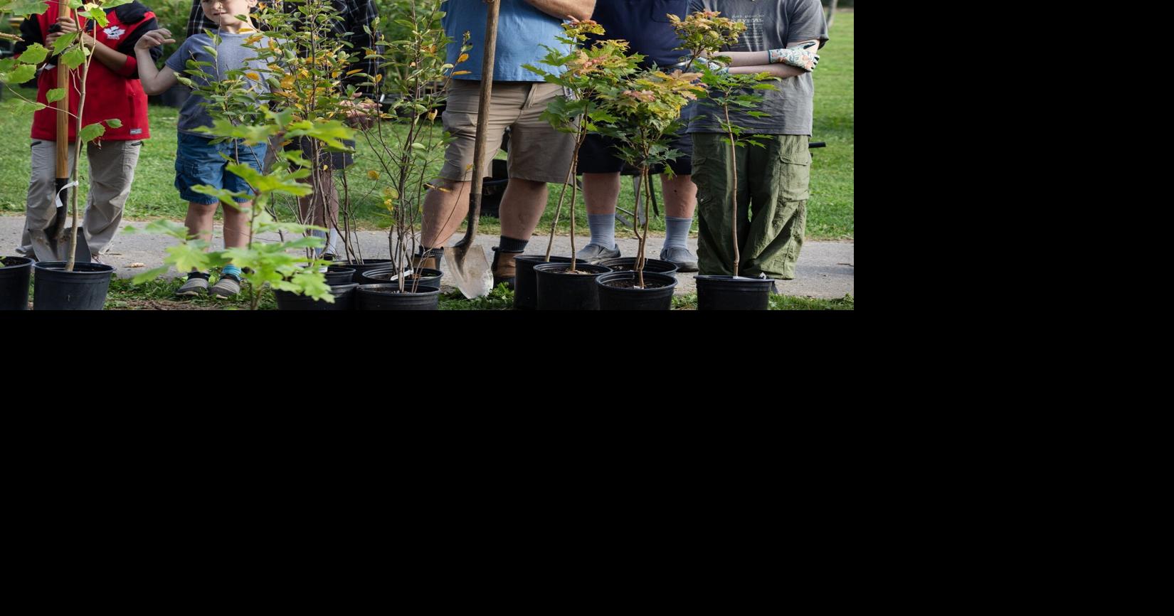 City tree planting event held at Kiwanis Community Park