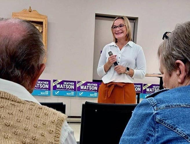 Douro-Dummer mayoral hopeful Heather Watson talks short-term rentals ...