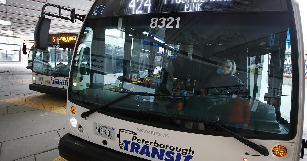 Driver shortage halts New Year’s Eve bus service in Peterborough